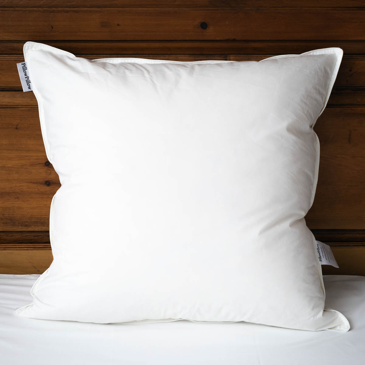 Continental - The Big Square One – PillowPillow